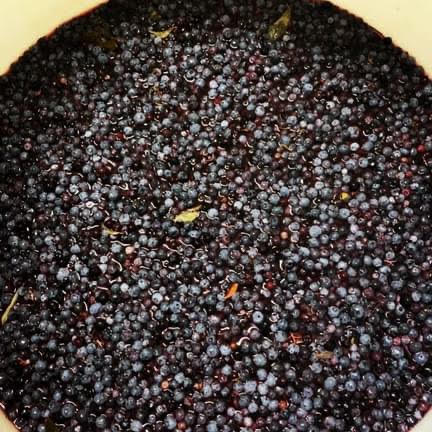 Our Artisan Wineries – Maydelle Country Wines – Nacogdoches Farmers Market